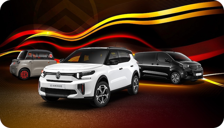 Team Deutschland I Citroën DE